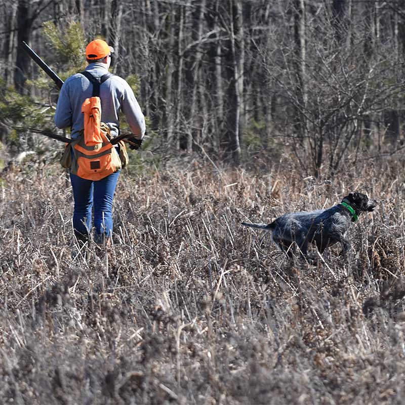 Membership – Haymarsh Hunt Club